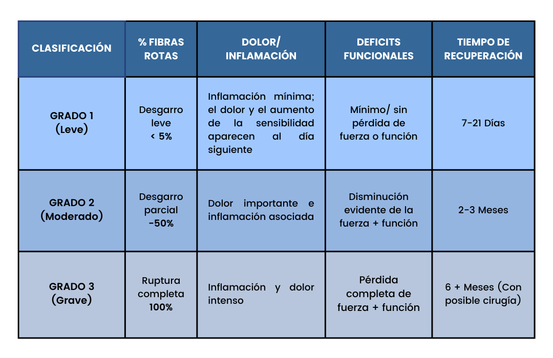 ¿Deberías estirar un desgarre muscular? - JM Fisioterapia